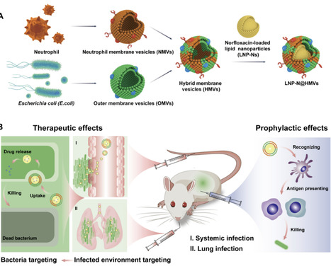 Biofunctional lipid nanoparticles for precision...