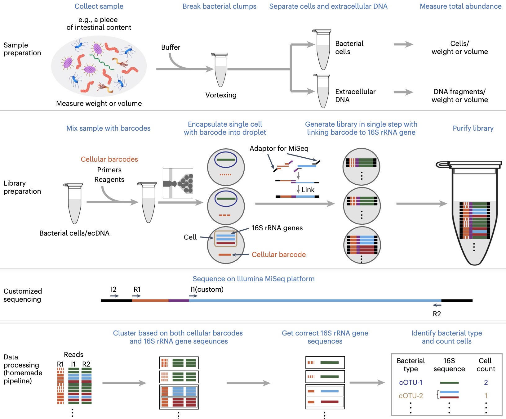 High-throughput identification and quantificati...