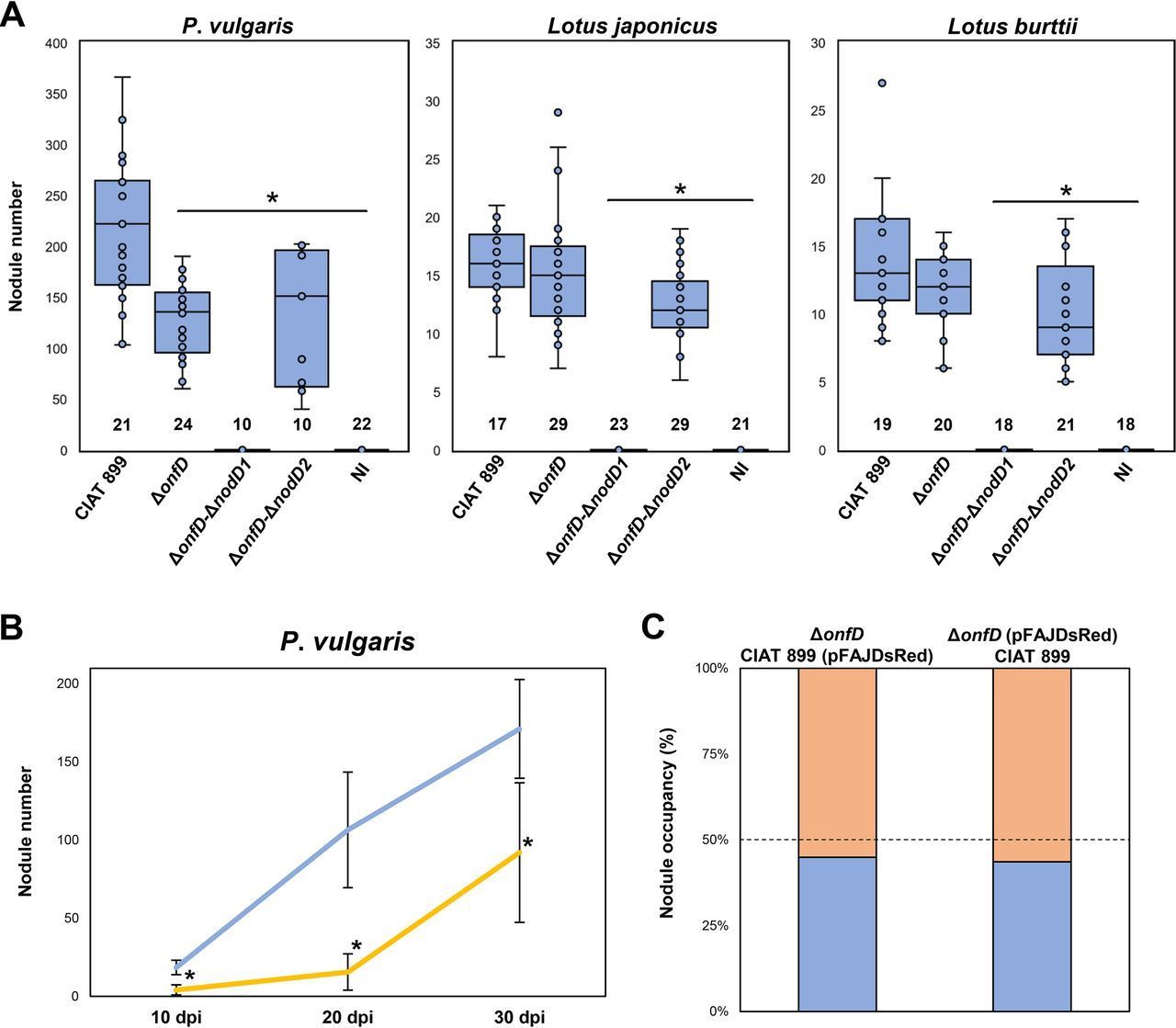 OnfD, an AraC-Type Transcriptional Regulator En...