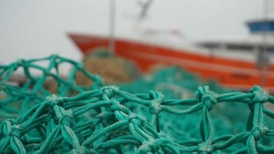 UK to Ban Bottom Trawling in Marine Protected A...