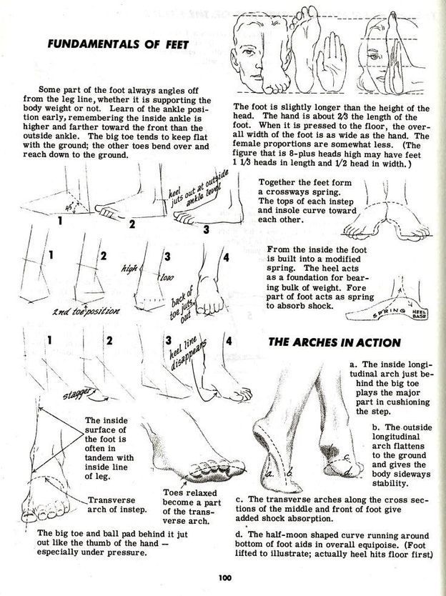 Feet Drawing Reference Guide | Drawing Referenc...