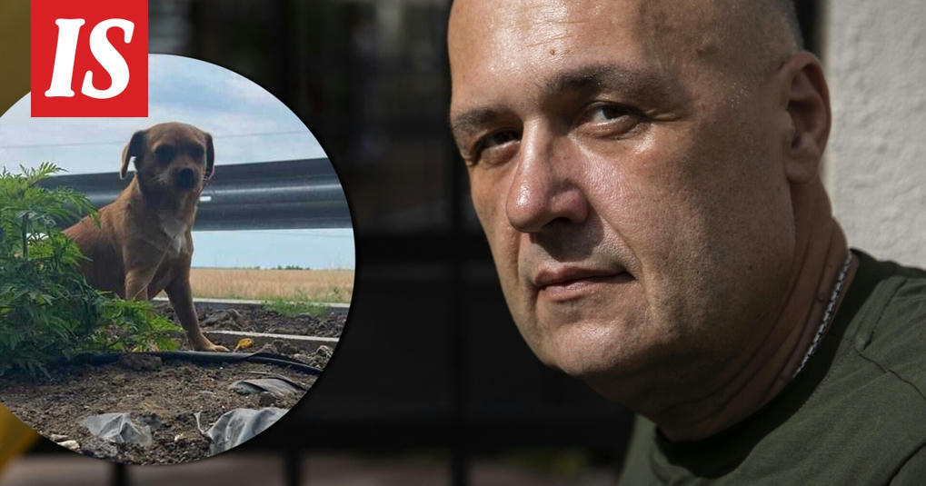 Grigori on Ukrainan sotilas: kertoo nyt, milt&a...