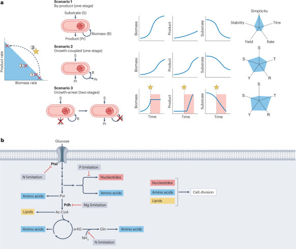 Design of microbial catalysts for two-stage pro...