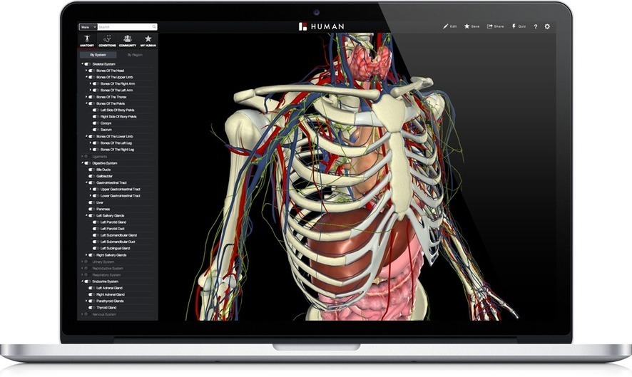 BioDigital: 3D Human Visualization Platform for...