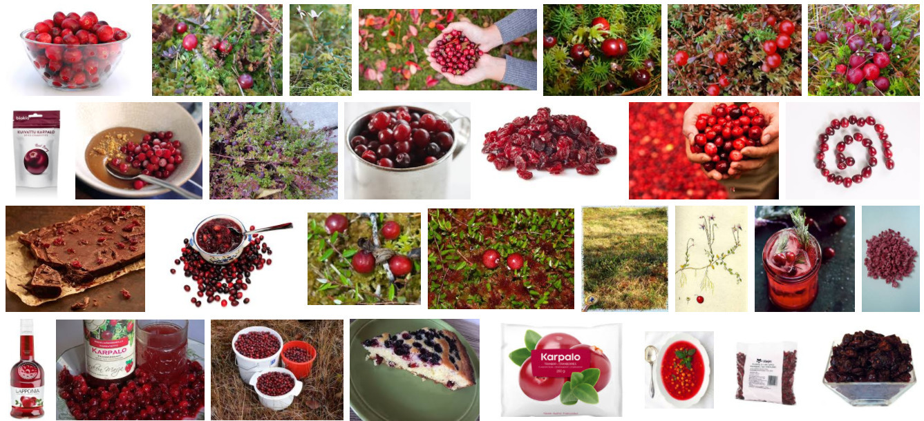 karpalo - Google-haku | 1Uutiset - Lukemisen t&...