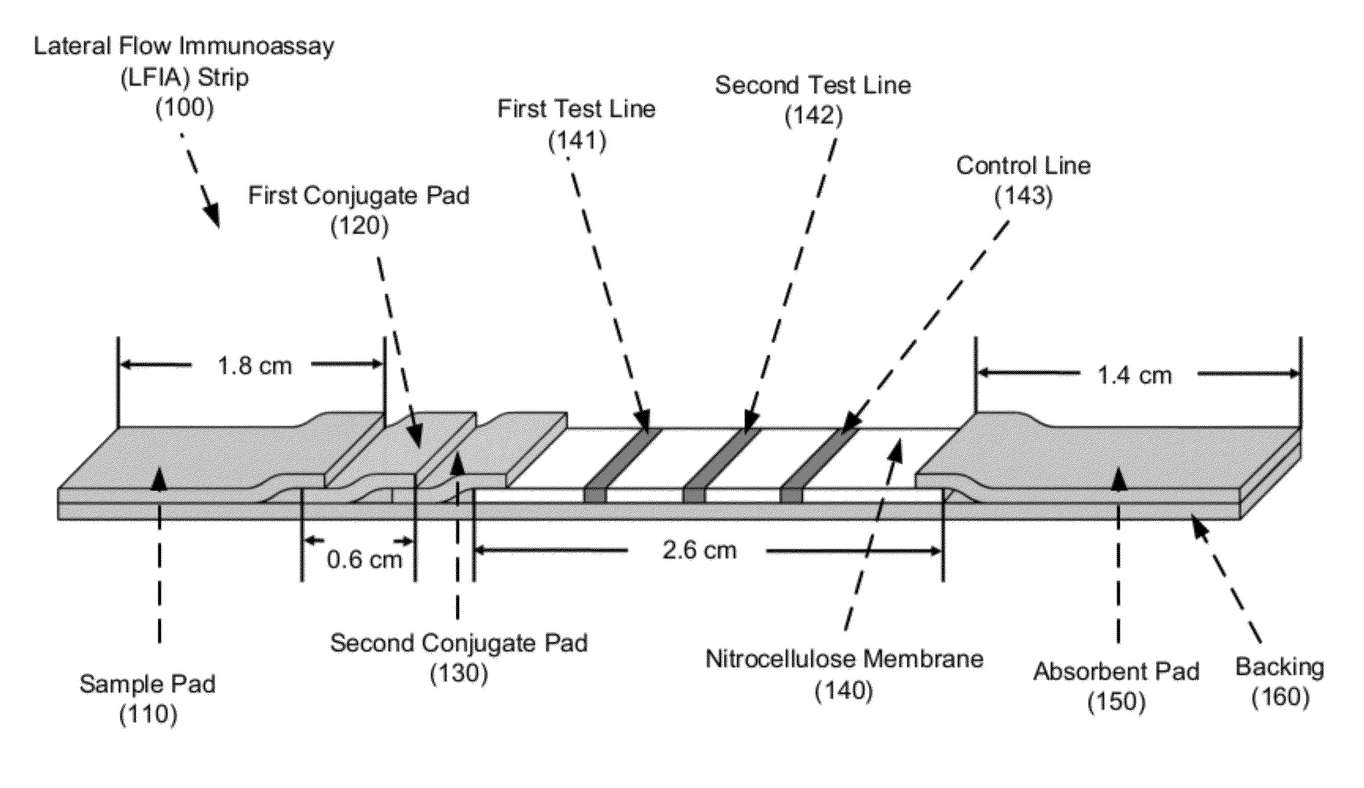 A lateral flow paper microarray for rapid aller...