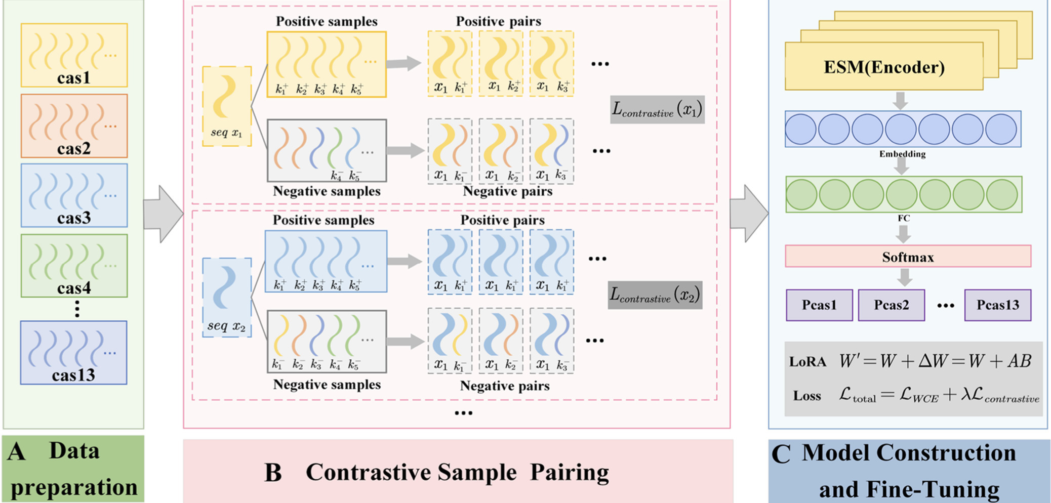 TEMC-Cas: Accurate Cas Protein Classification v...
