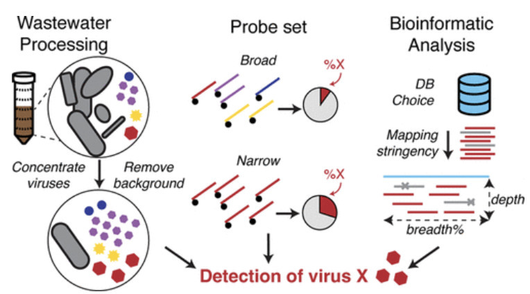 Considerations and Opportunities for Probe Capt...