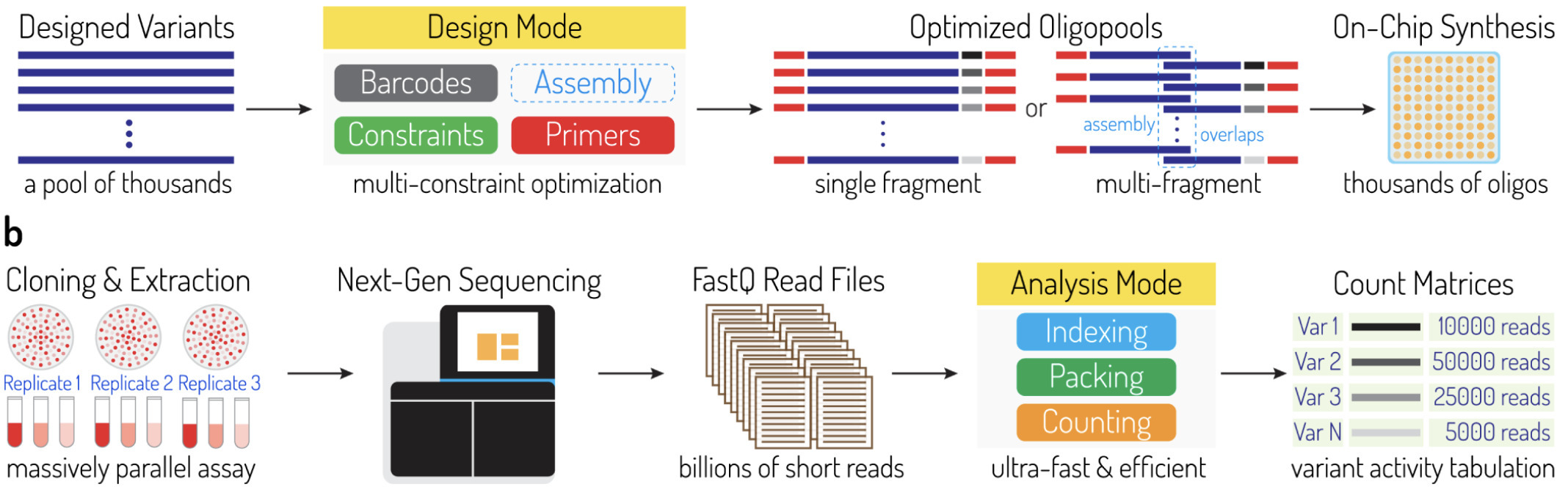 Automated Design of Oligopools and Rapid Analys...