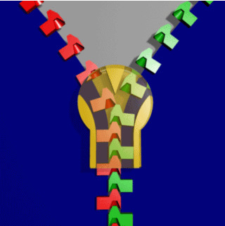 10 GIFs animados que explican cómo funci...