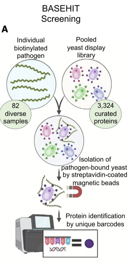 An atlas of human vector-borne microbe interact...