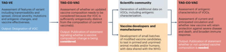 When to update COVID-19 vaccine composition | N...