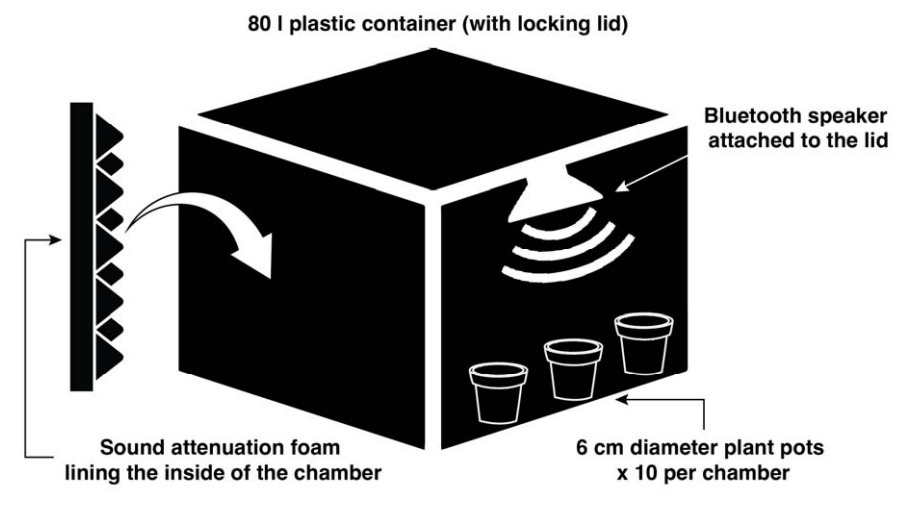 Sonic restoration: Acoustic stimulation enhance...