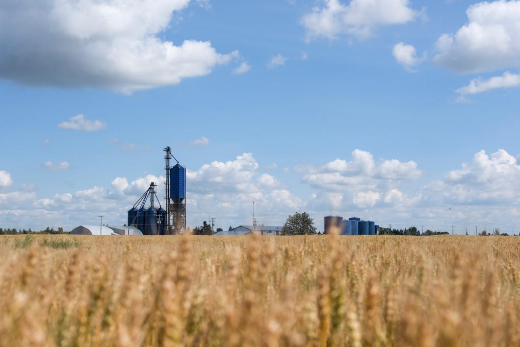 Invest Alberta CEO Rick Christiaanse abruptly l...