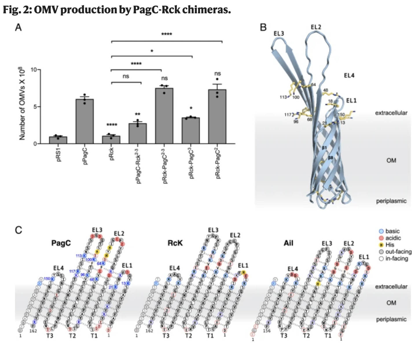 A pH-sensitive motif in an outer membrane prote...