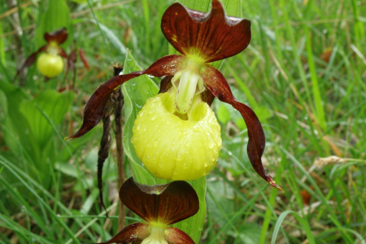 Comment se passe une tournée de surveill...