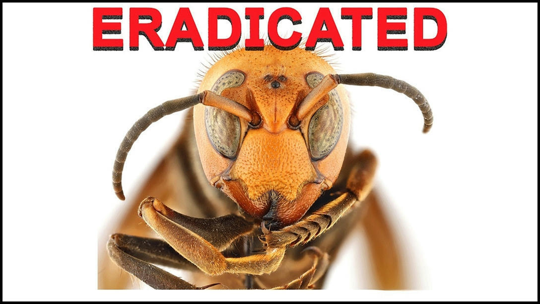 APHIS in Action: Victory Over the World’s...