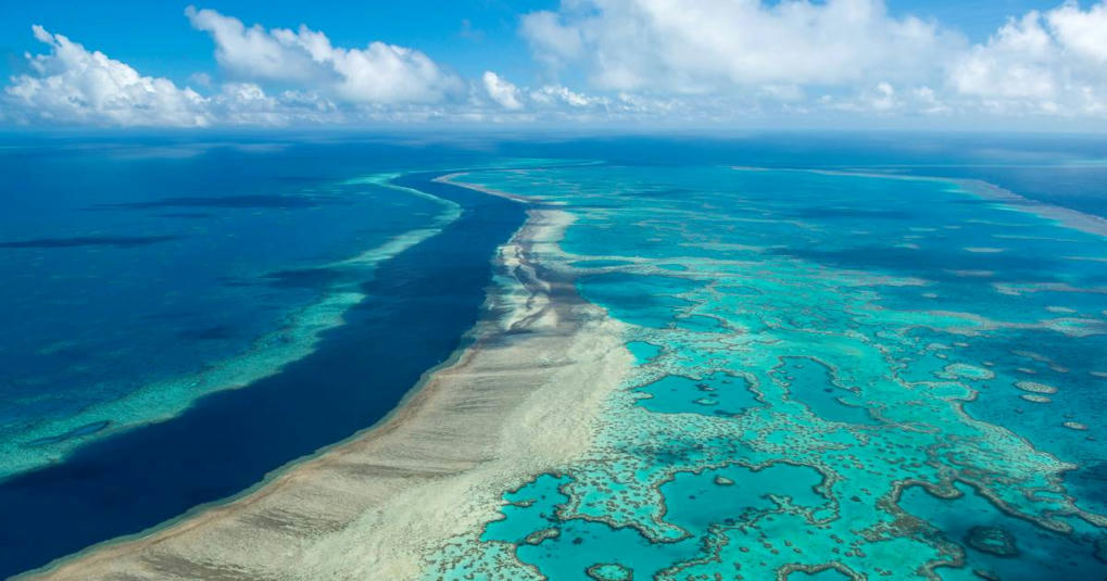 Les récifs coralliens nécessaires...