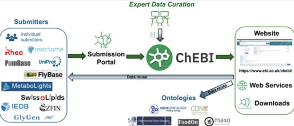 ChEBI: re-engineered for a sustainable future