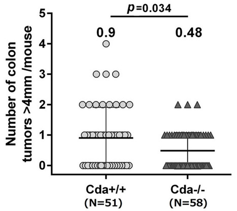 L’invalidation du gène de la cytid...