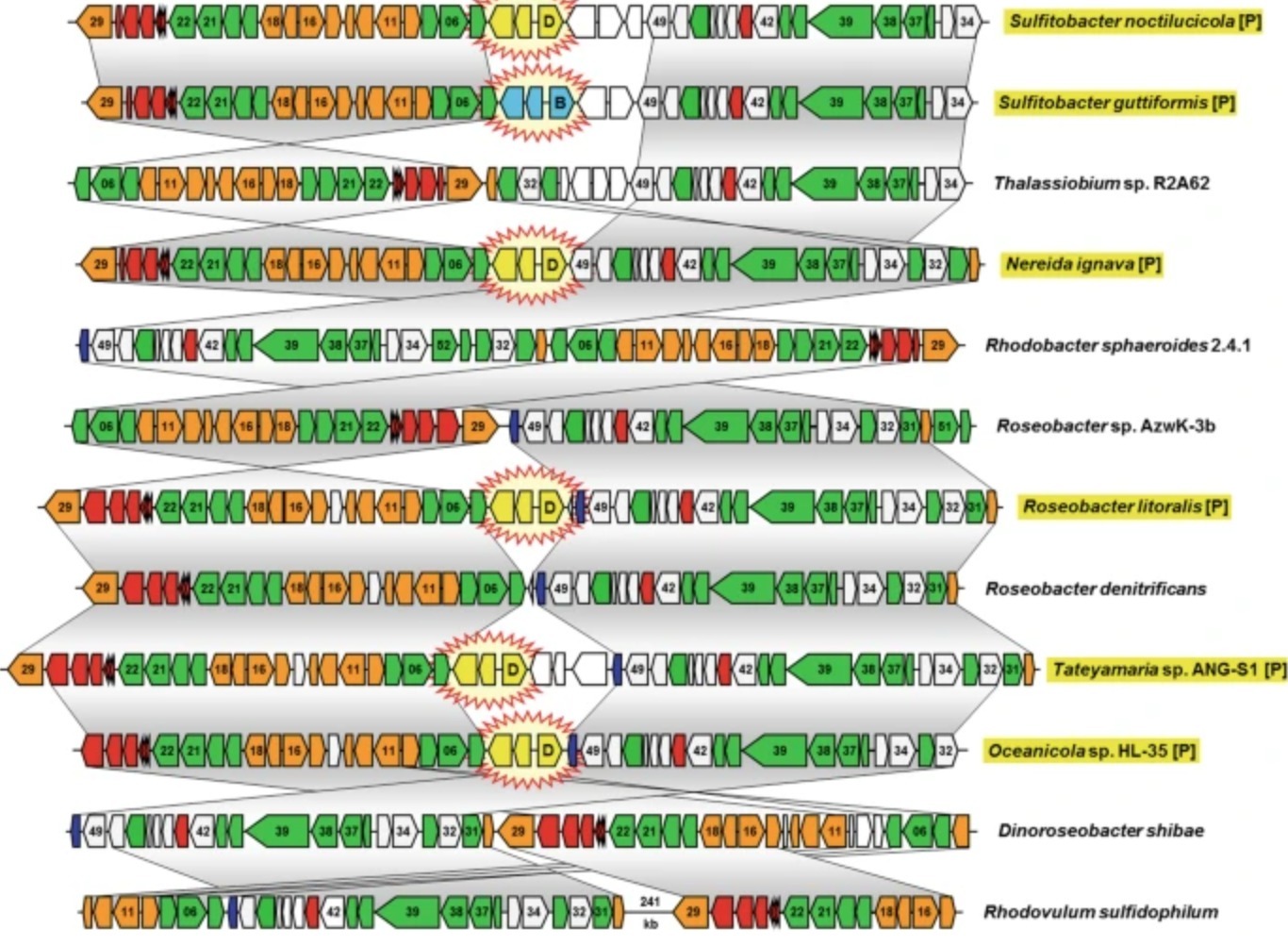 Horizontal operon transfer, plasmids, and the e...