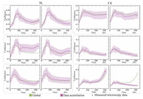 A data assimilation framework to predict the re...