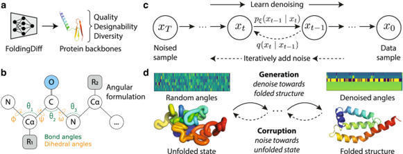 Protein structure generation via folding diffus...