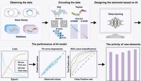 AI-Assisted Rational Design and Activity Predic...