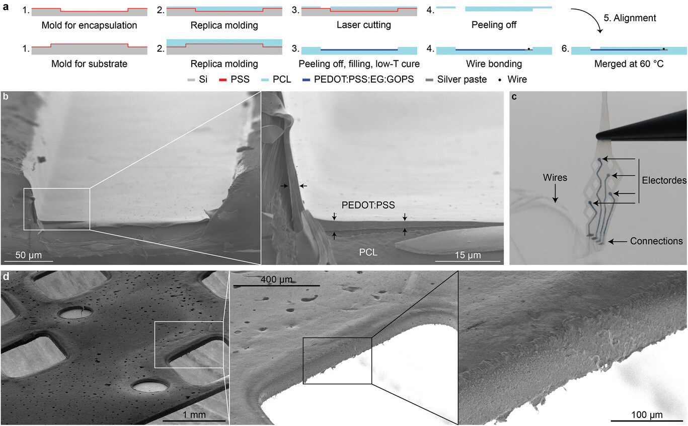 Transient Neurovascular Interface for Minimally...