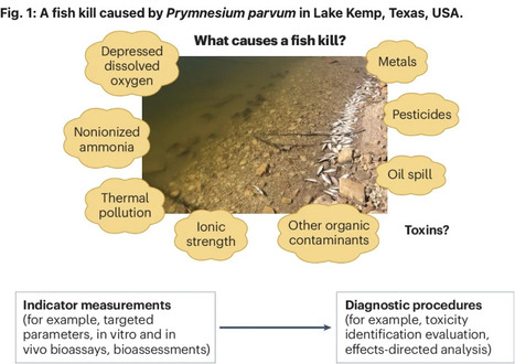 Mixtures of organic micropollutants exacerbated...