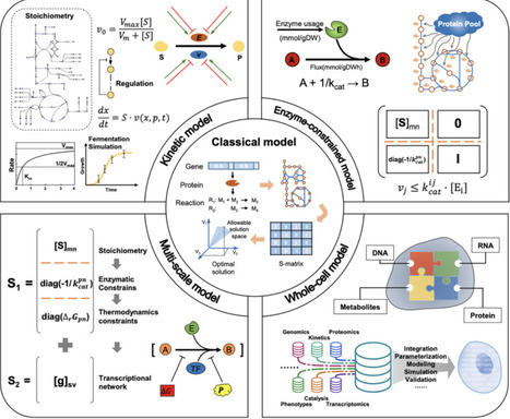 Cell factory design with advanced metabolic mod...