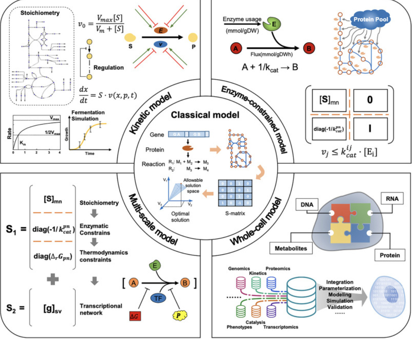 Cell factory design with advanced metabolic mod...
