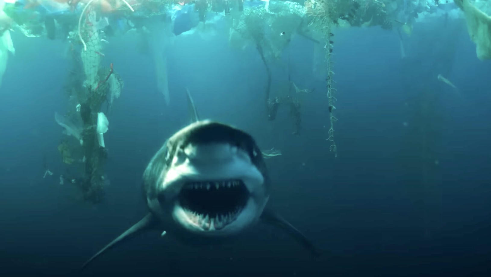 Sous la Seine sur Netflix : un requin blanc pou...