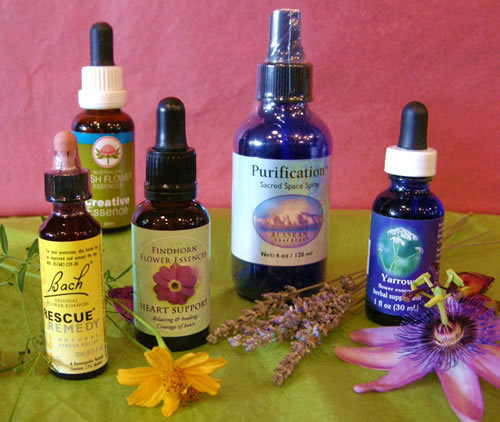 (EN) – Quick Flower Glossary | All About Flower Essences – 📚 Glossarissimo!