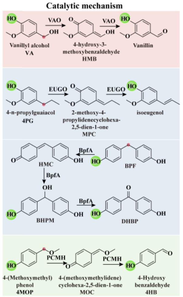 Widespread distribution of the BpfA-carrying ba...