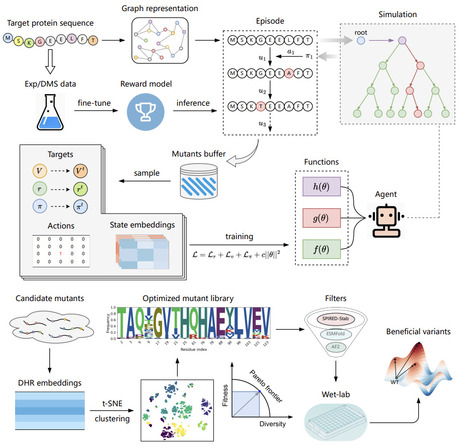Accelerating Virtual Directed Evolution of Prot...