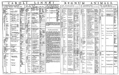 Linnaean Classification System | Carl Linnaeus ...
