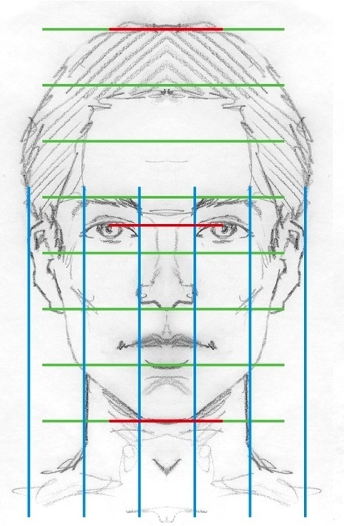 Facial Proportions Reference Guide | Drawing Re...