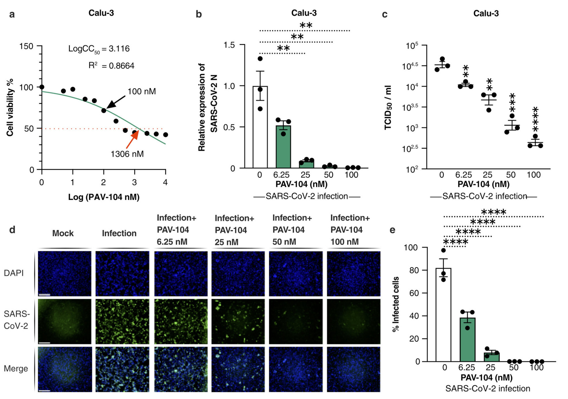 A Viral Assembly Inhibitor Blocks SARS-CoV-2 Re...