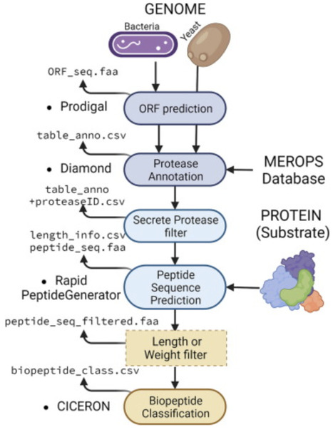 FEEDS, the Food wastE biopEptiDe claSsifier: fr...