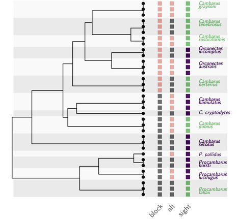 A Phylogenetic Framework to Simulate Synthetic ...