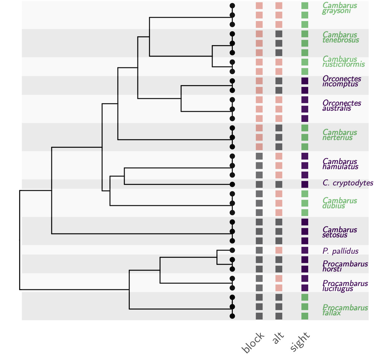 A Phylogenetic Framework to Simulate Synthetic ...
