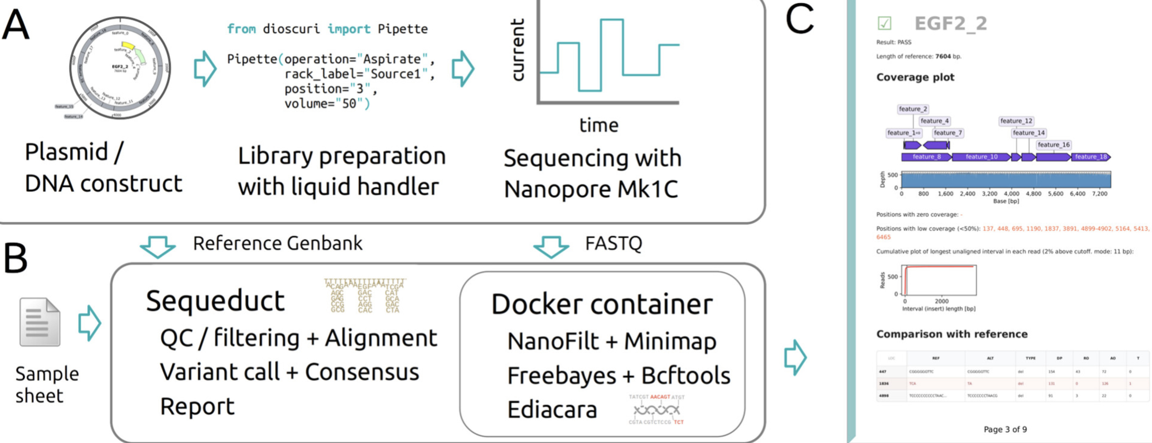 Biofoundry-Scale DNA Assembly Validation Using ...