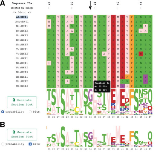 MSA Class Logos: a web server for automated seq...