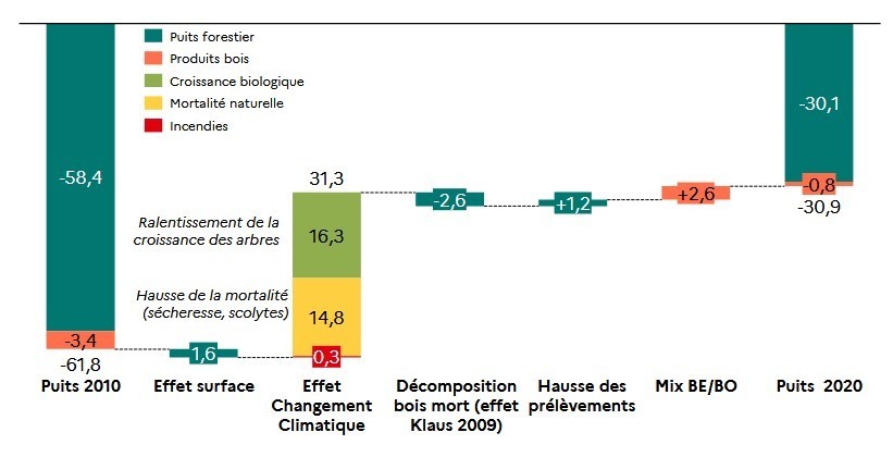 En France, le puits de carbone forestier a &eac...