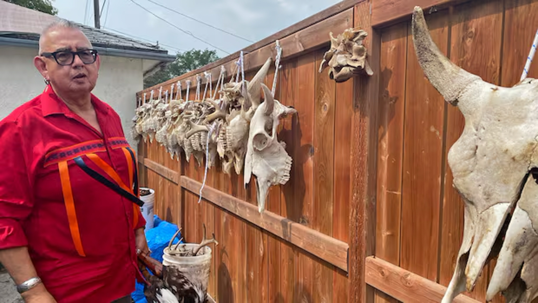 Eagles carry sacred lessons of Indigenous knowl...