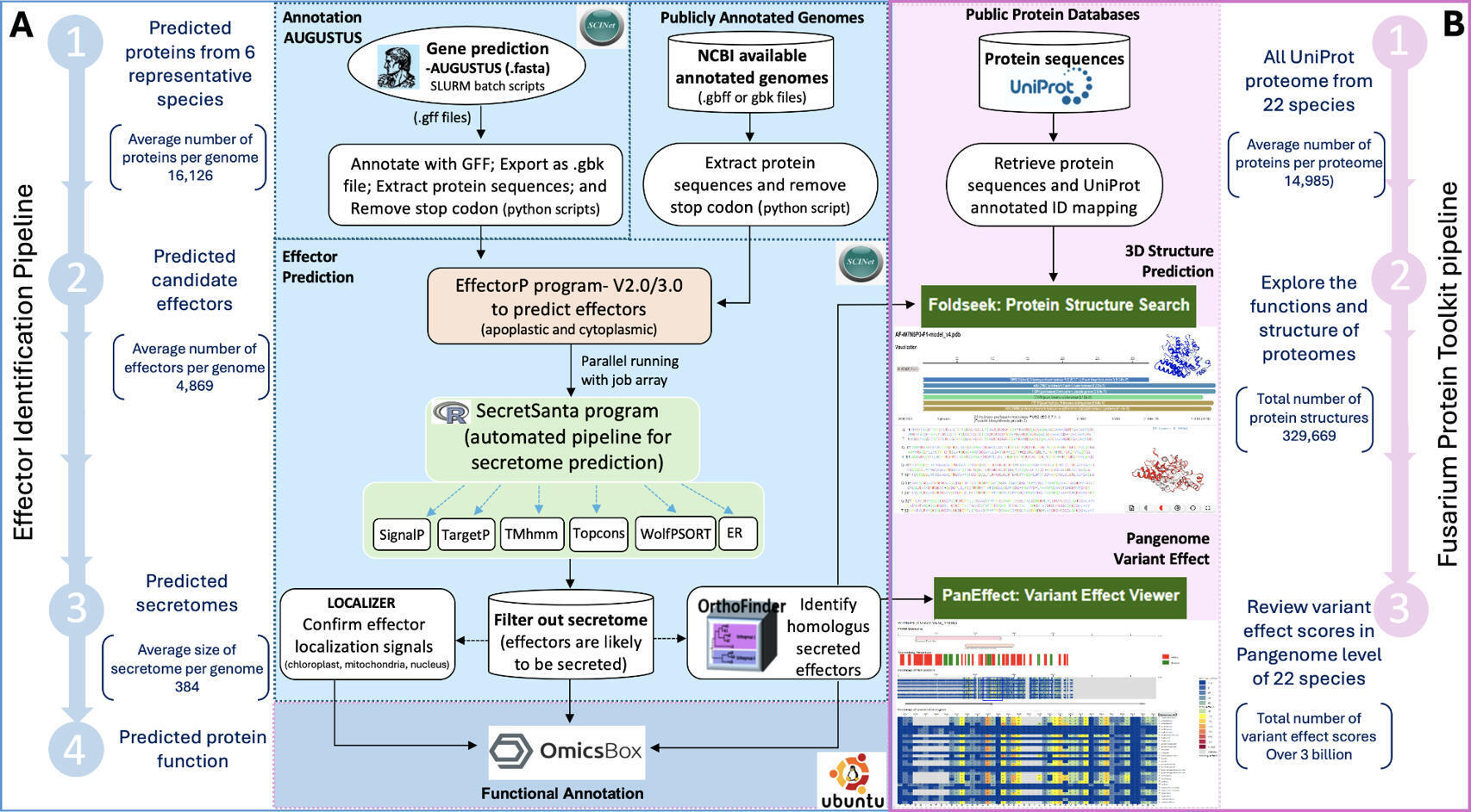 Fusarium Protein Toolkit: a web-based resource...