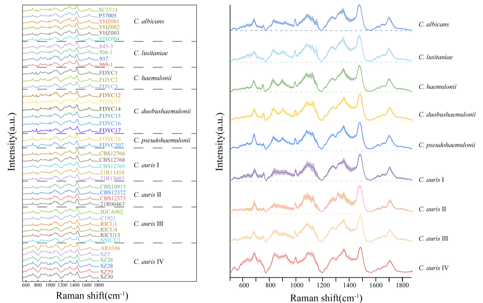 Application of Raman spectroscopy and machine l...