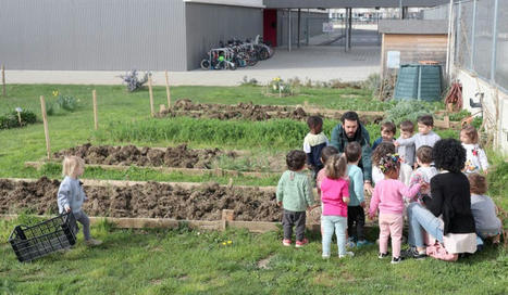 Tres claves para fomentar el juego en la infanc...