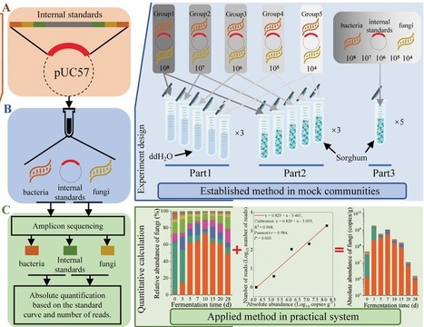 Gradient Internal Standard Method for Absolute ...